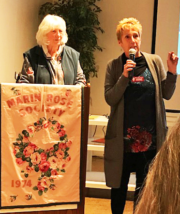 Welcome to our new website! - Marin Rose Society