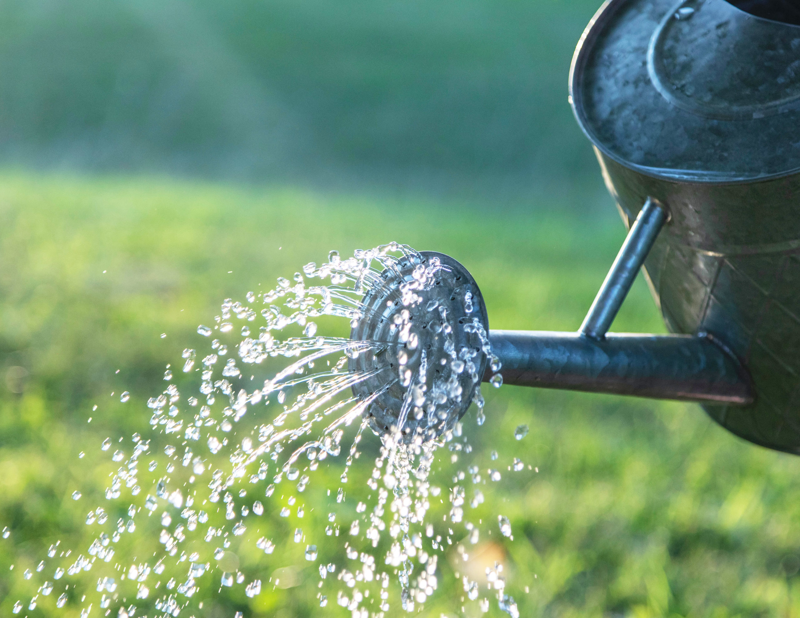 Shutoffs, quick-disconnects, timers, and washers can help you save ...